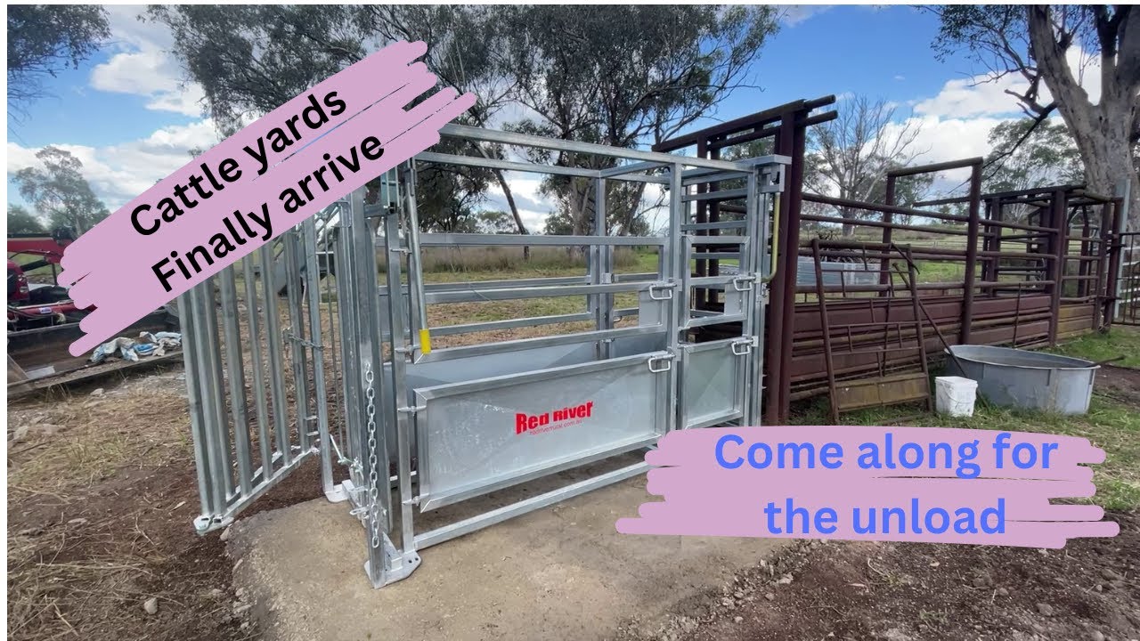Yards arrive, very exciting, Unloading, Yard rebuild Part 3 #Australia ...