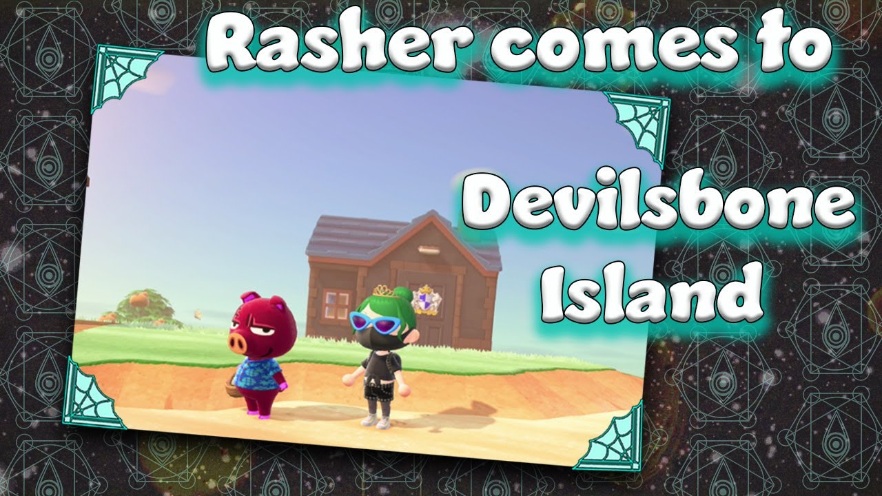 Rasher comes to Devilsbone Island | Animal Crossing New Horizon - YouTube