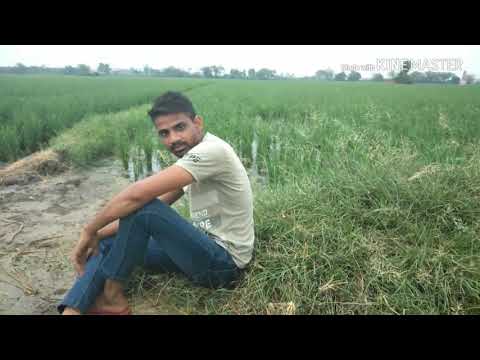 Consin always loving