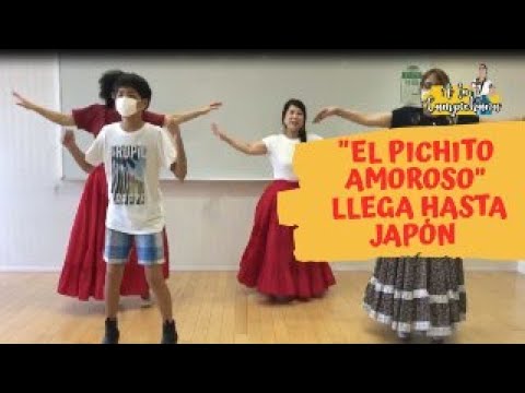 "EL PICHITO AMOROSO" LLEGA HASTA JAPÓN - A la Campechana - YouTube