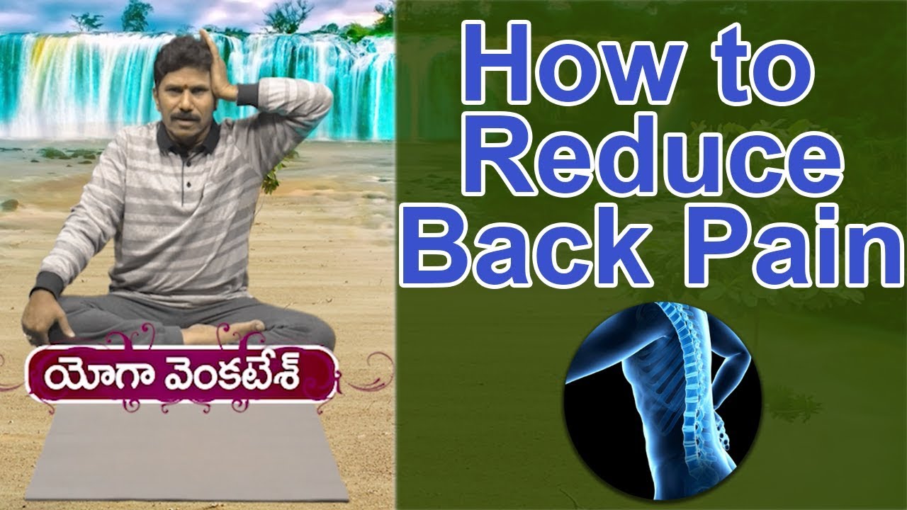HOW TO REDUCE BACK PAIN BY DOING YOGA PMC (Pyramid Meditation Channel ...