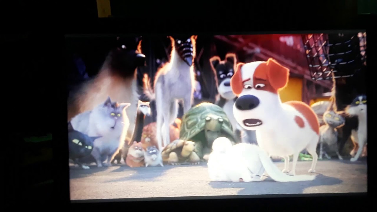 Dante watching the Secret Life of Pets Gidget Saves max scene - YouTube