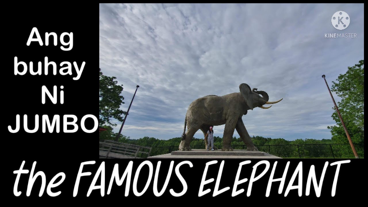 I met JUMBO THE FAMOUS ELEPHANT of St. Thomas, Ontario, Canada - YouTube