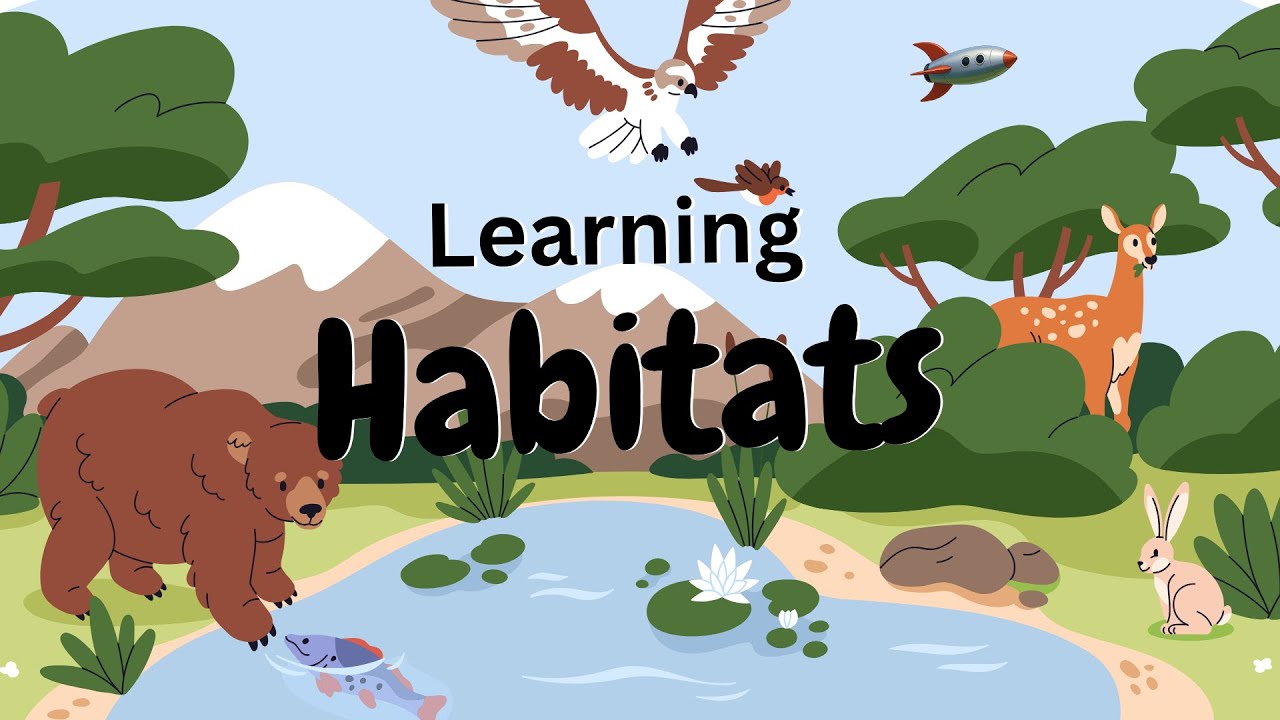 Learning Habitats Video - YouTube