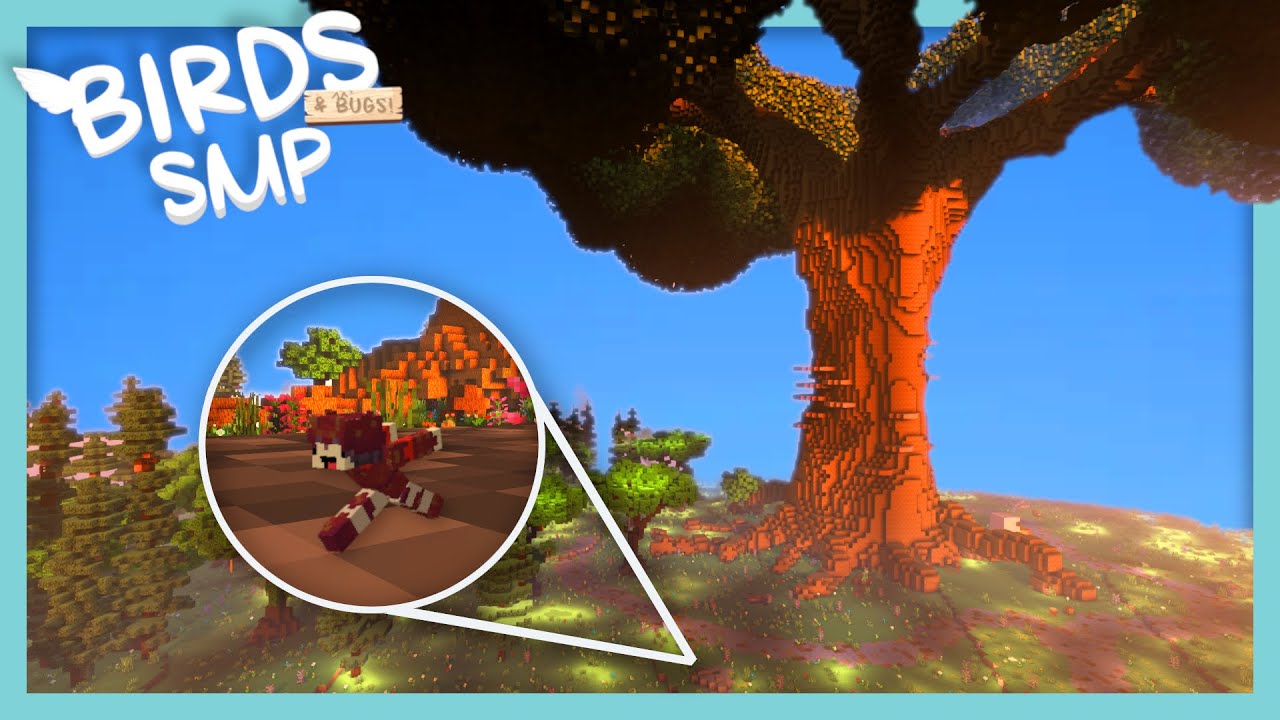 It's Not About The Size! - Birds & Bugs SMP EP 1 - Modded Minecraft ...