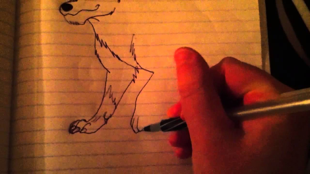 me drawing a wolf in my notebook - YouTube