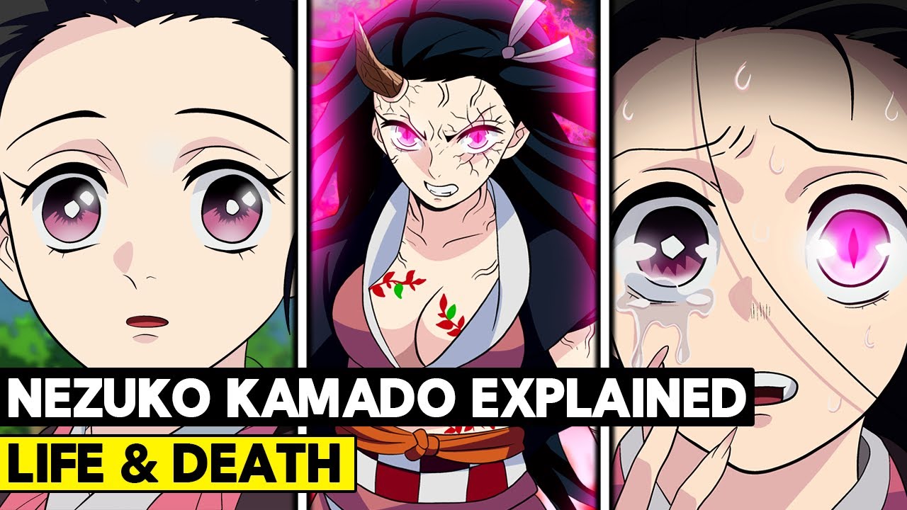 Yet Another Human Nezuko Au Demon Slayer Kimetsu No