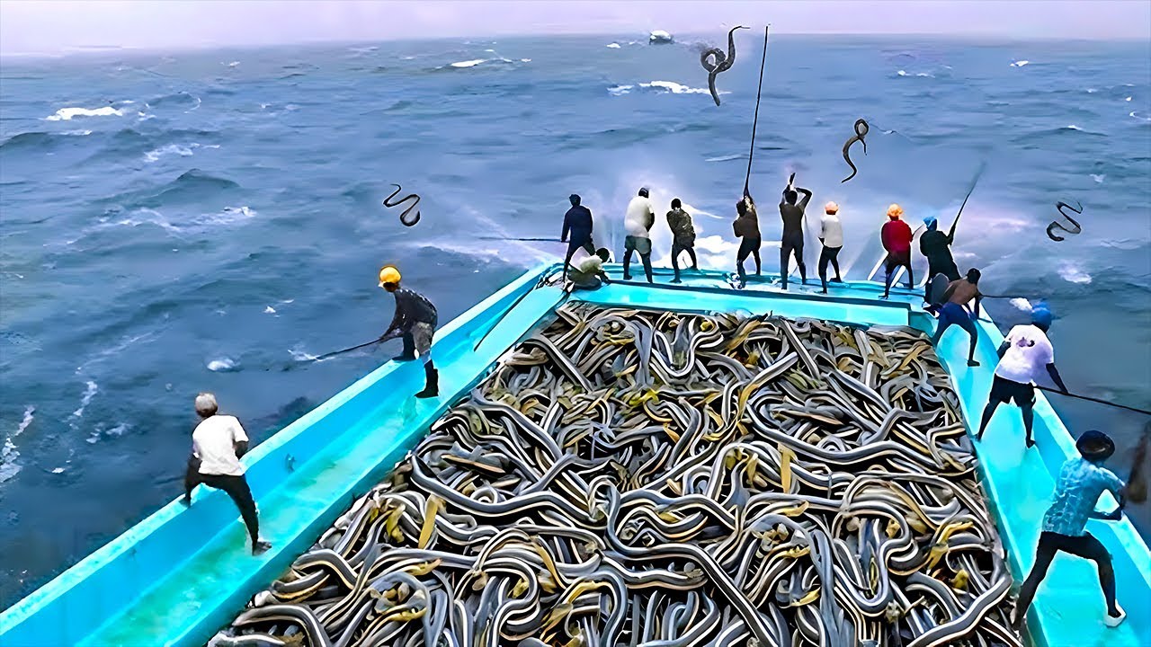 চীন বলেই সম্ভব | Snake farming in the world bangla | snake poison ...