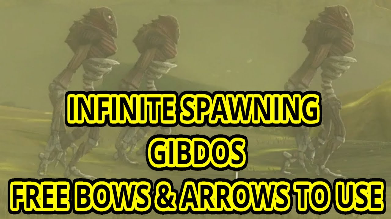 Infinite Gibdo Bone Farm Exploit - YouTube