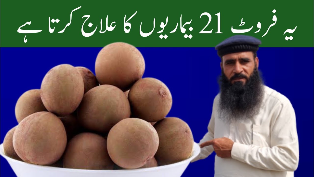 Chikoo Farming Pakistan || Har Bimari Ka Ilaj ||@ATCOrganic - YouTube