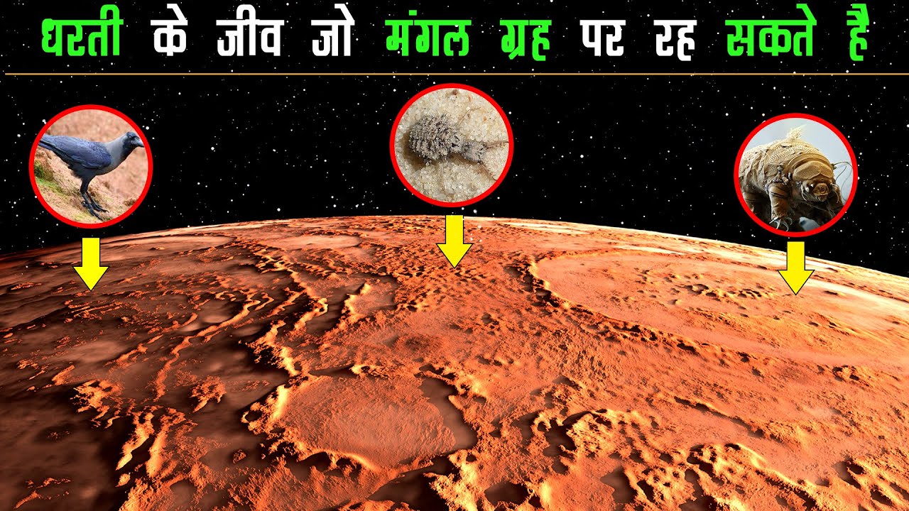 Earth's creatures that can live on Mars | ये जीव लाएंगे मंगल ग्रह पर जीवन by World Facts - YouTube