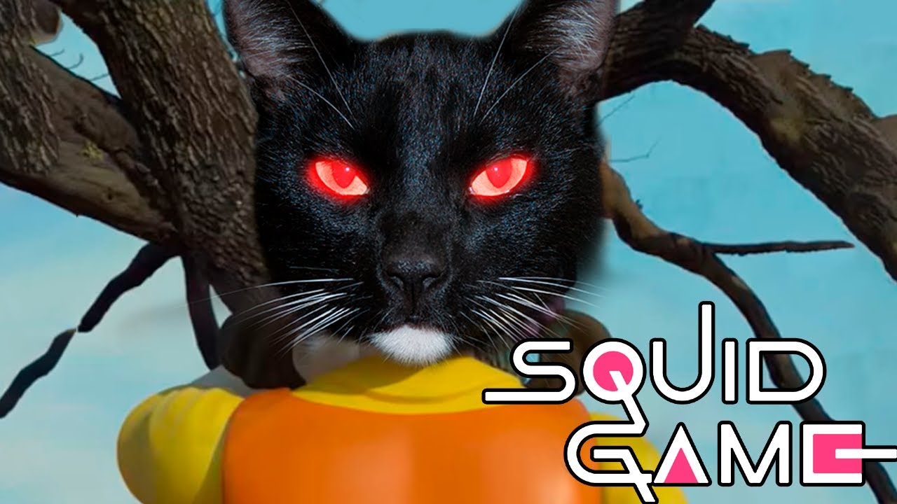 Squid Game Cat Song - YouTube