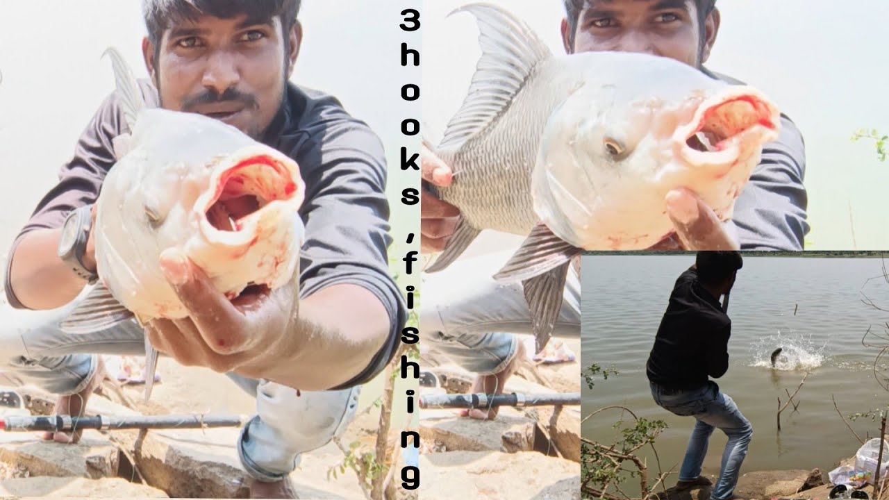 triple hook fishing || Rahu catla tilapia"3- fish catching || flute ...