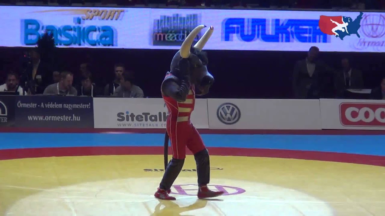 The Infamous Dancing Bull Mascot of Hungary - YouTube