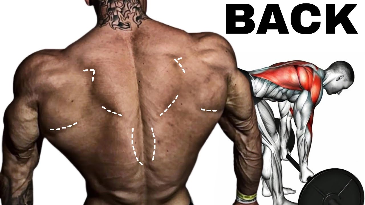 Best Back Exercises That Make Bigger Back Grow Fast - YouTube