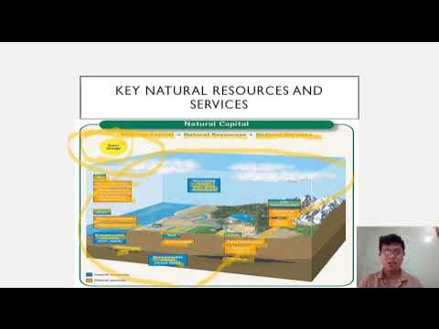 Unit 1 Understanding our Environment -Introduction to Environmental ...