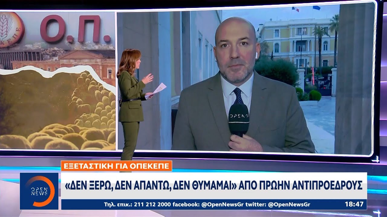 ΟΠΕΚΕΠΕ: «Δεν ξέρω, δεν θυμάμαι» δήλωσε ο πρώην αντιπρόεδρος | Ethnos ...
