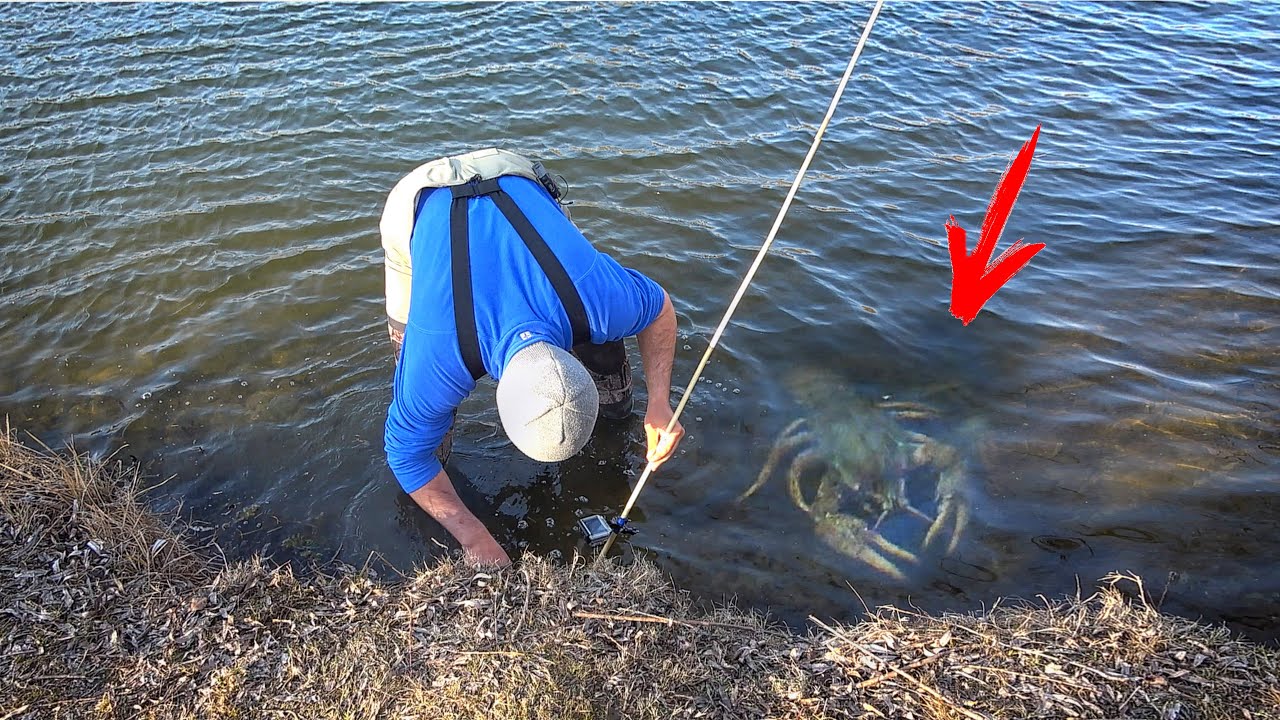 Catching Crawfish the Old-Fashioned Way: Stick Fishing in America - YouTube