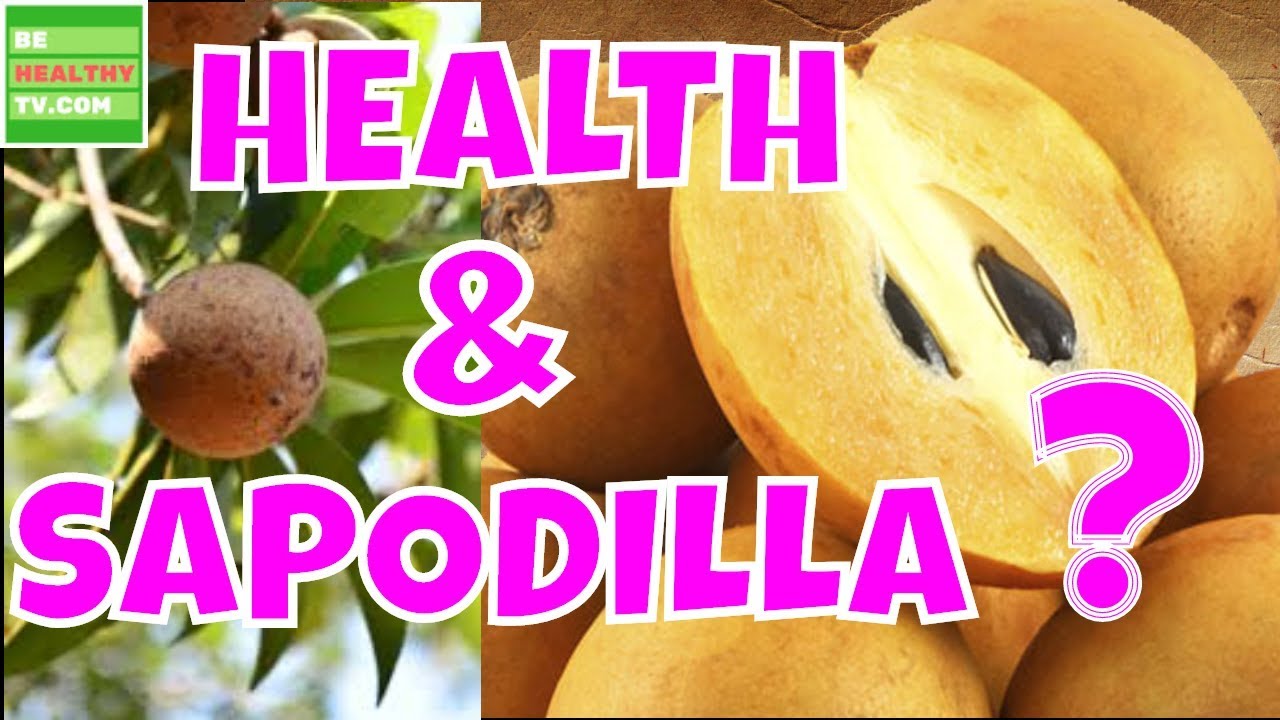 SAPODILLA Health Benefits of the Fruit Sapodilla - YouTube
