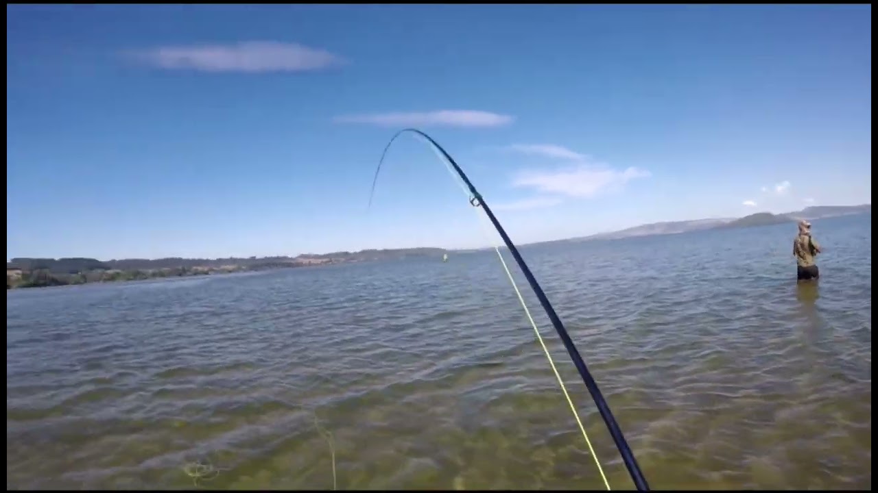 Fly Fishing For RainbowTrout Around Lake Rotorua - YouTube