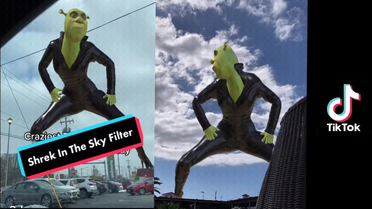 Shrek in the sky Tiktok Trend | How to get the shrek dancing filter on ...