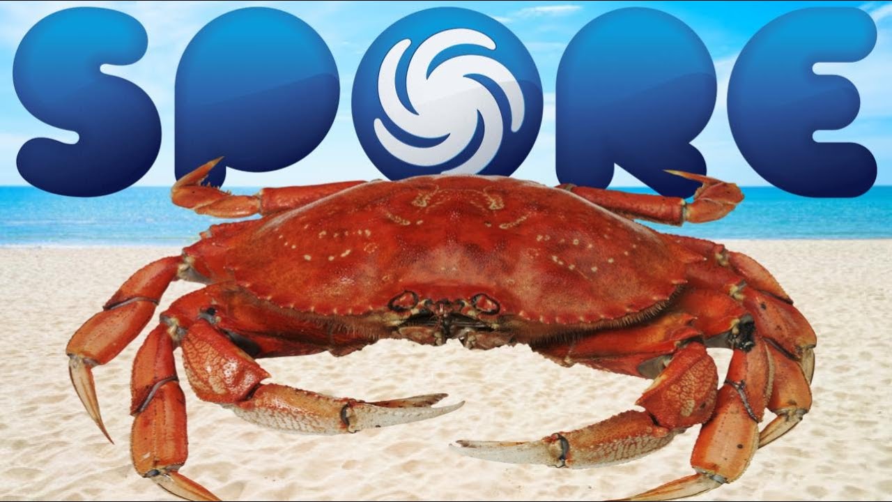 Playing SPORE as an Actual Crab - YouTube