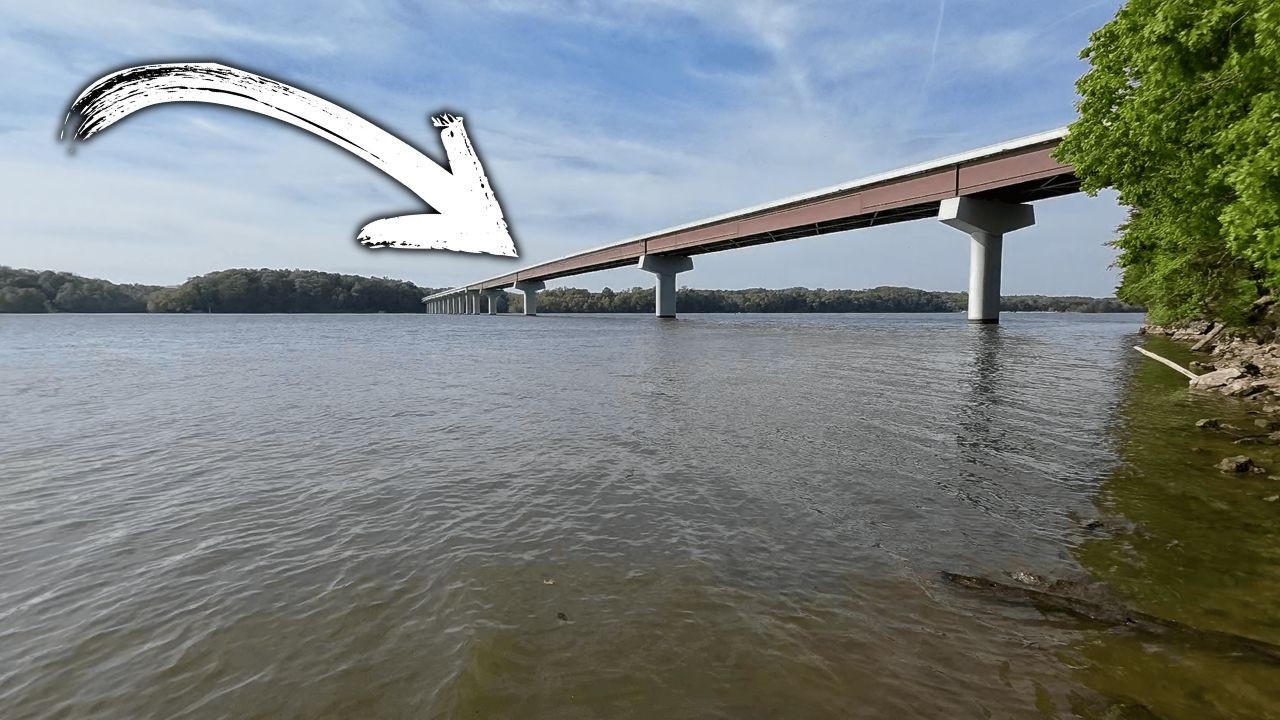 Giant FISH Swim Under This Bridge! (New P.B!) - YouTube