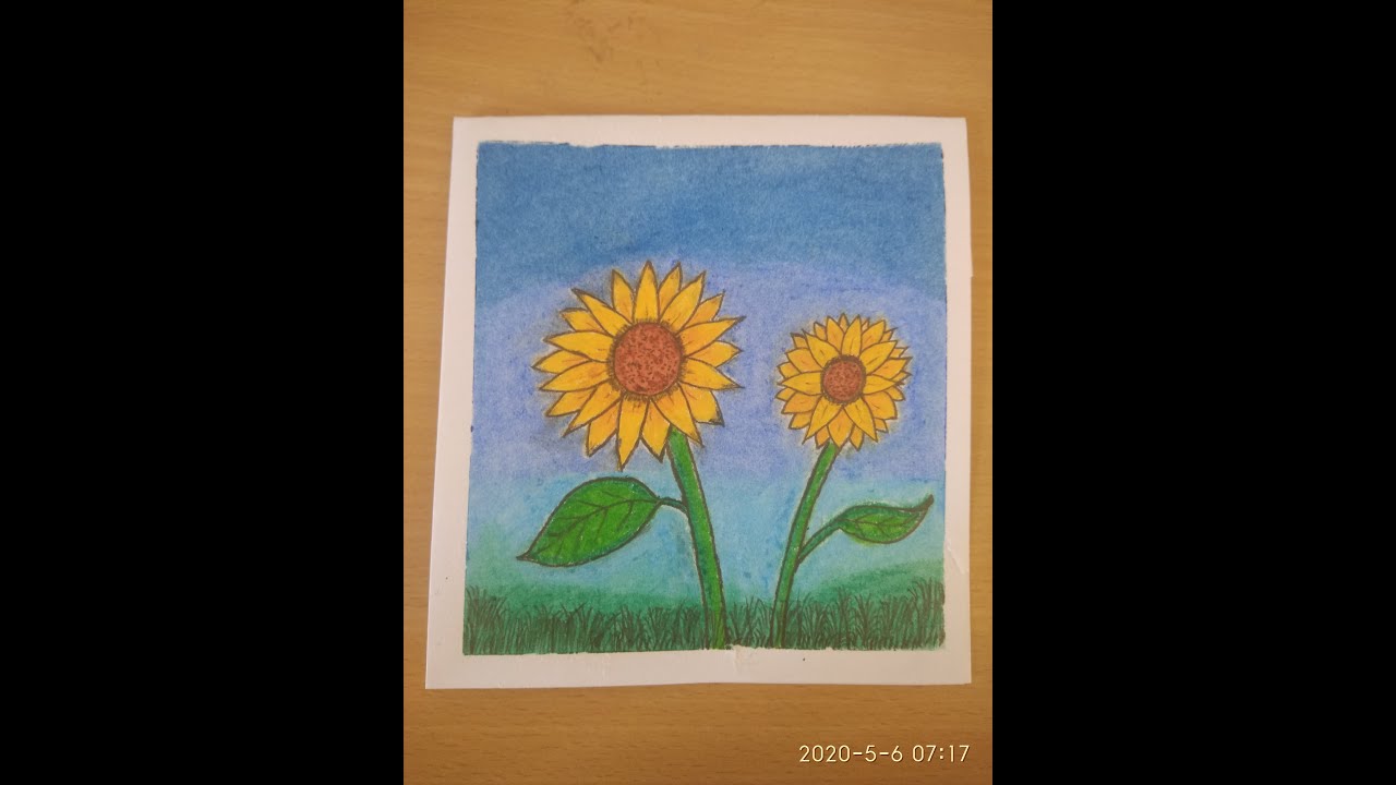 How to Draw Sunflower with Oil Pastels/Easy Oil Pastel Drawing for ...