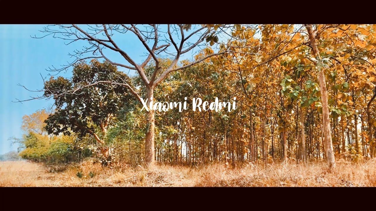 Redmi Note 11 Pro Cinematic 4k Camera Test - YouTube