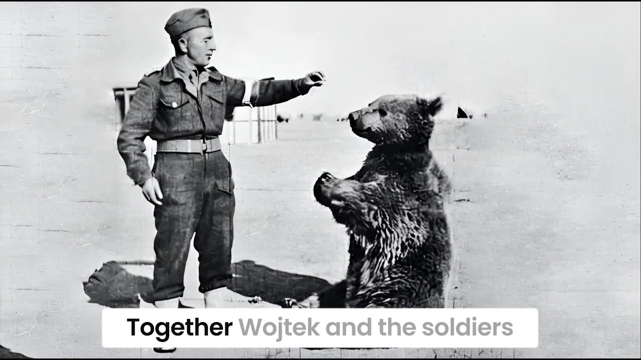 Wojtek the Soldier Bear: The Untold Story of WWII’s Most Unlikely Hero ...