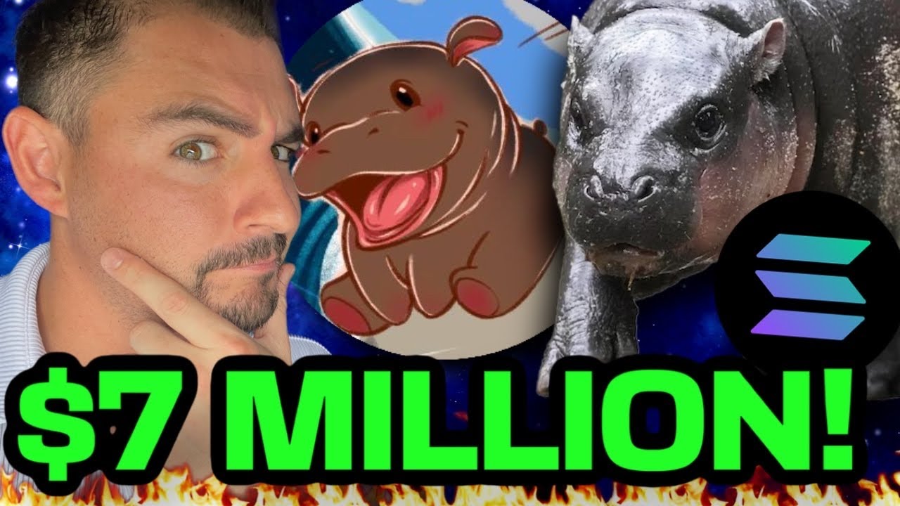 MOODENG Meme Coin MILLIONS! (Turning $800 Into $7.5 Million!!!) Can Moo ...