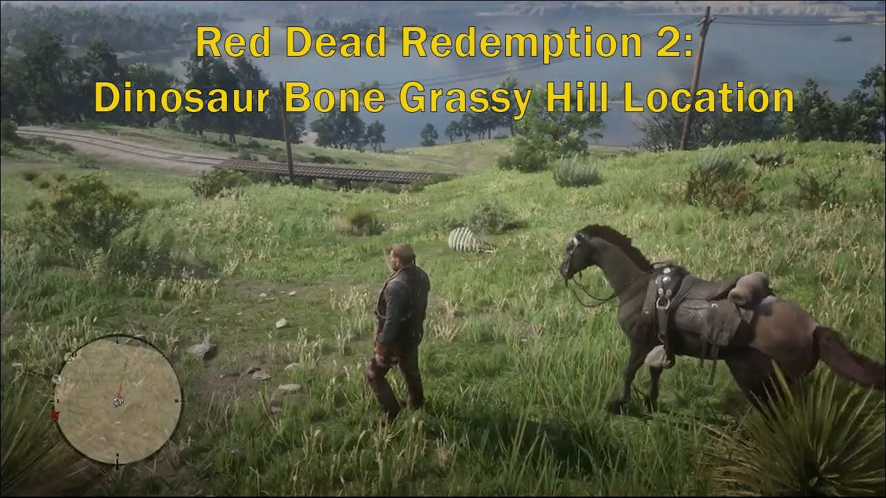Red Dead Redemption 2: Dinosaur Bone Heartlands Grassy Hill Location ...