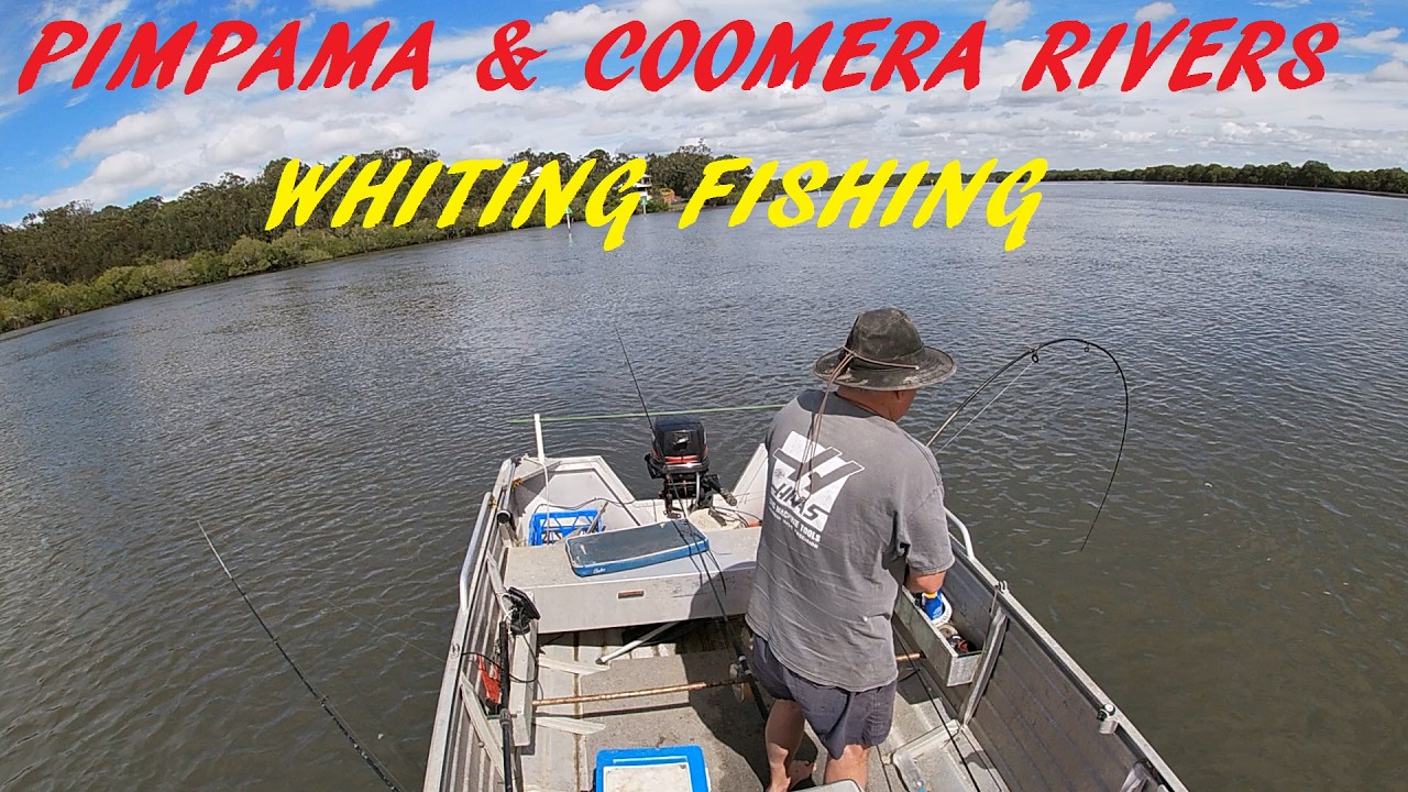 Fishing Pimpama & Coomera Rivers 7th Nov 2025 - YouTube