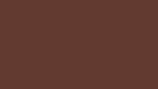 Dark Saddle Brown | 1 Hour Solid Color Screen