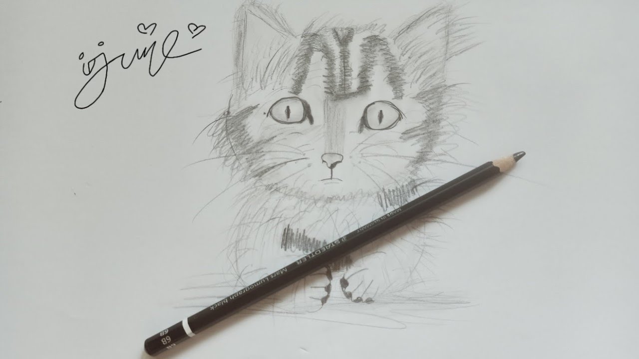 draw a 3d cat easily 🐈🐾| 3D drawing - YouTube
