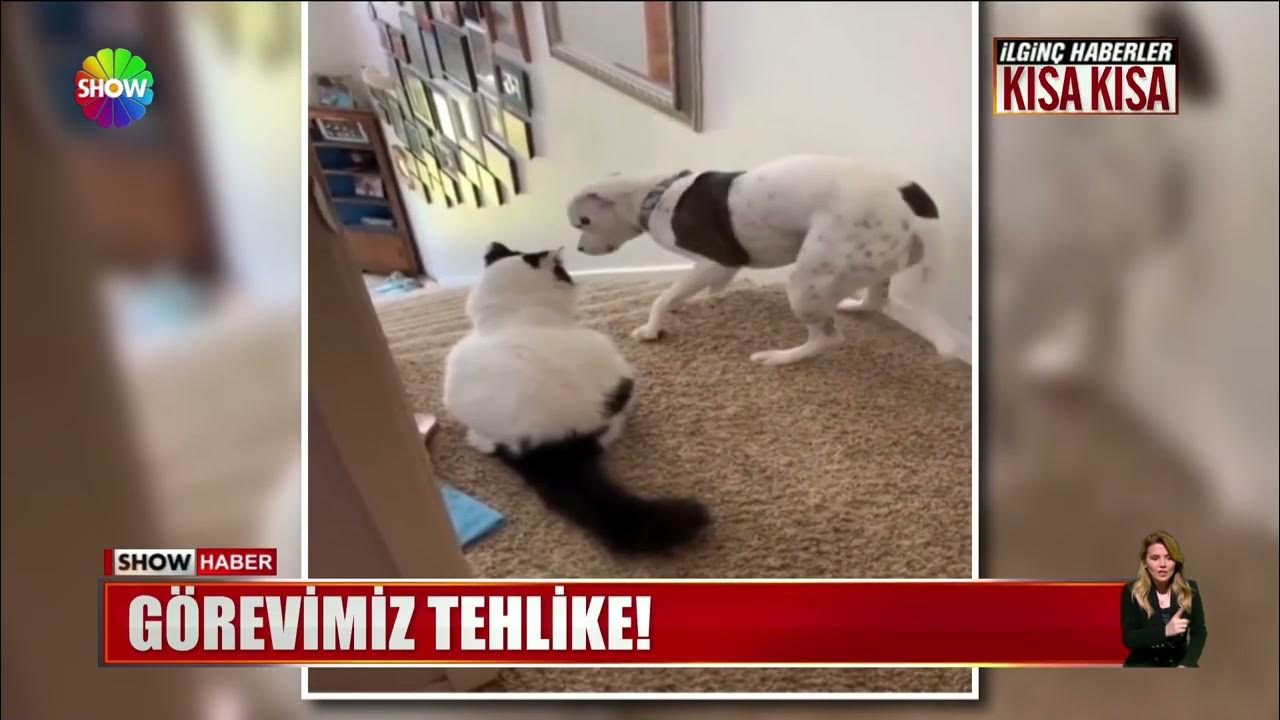 SHOW TV KISA KISA - YouTube