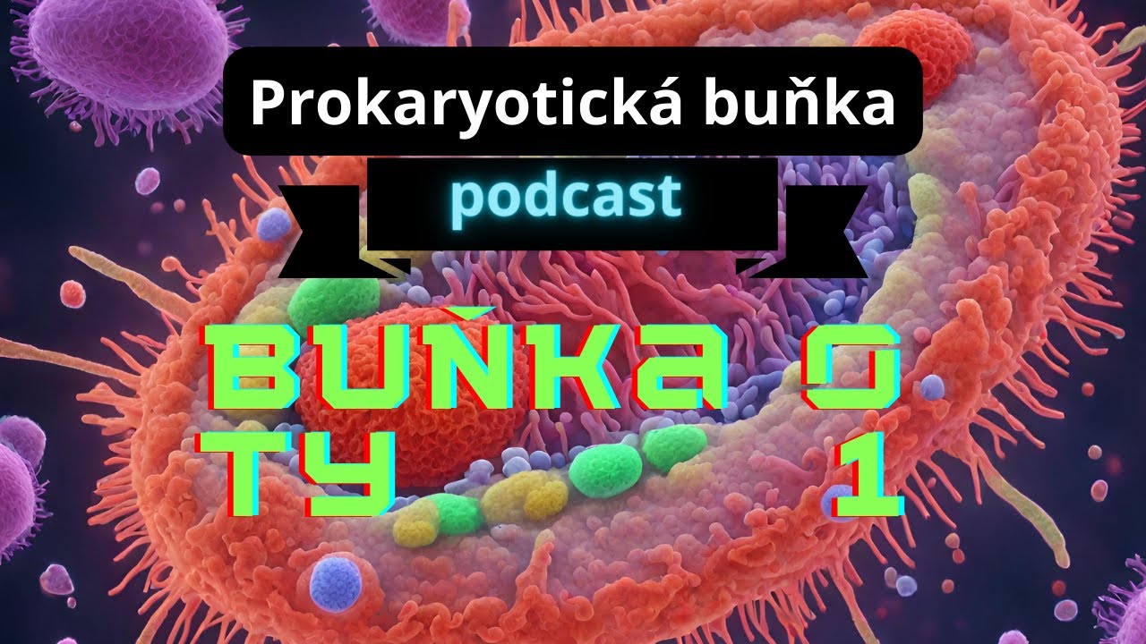Prokaryotická Buňka podcast - YouTube