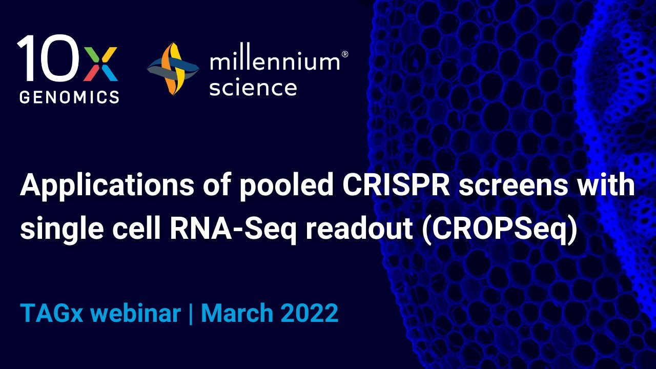 10x MS TAGx March 2022 | Applications of CROPSeq identifying targets of ...