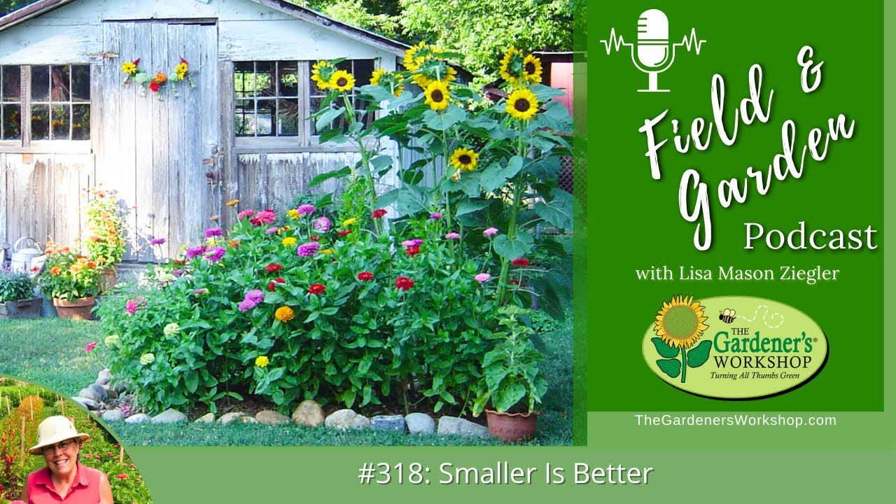 #318: Smaller Is Better - YouTube