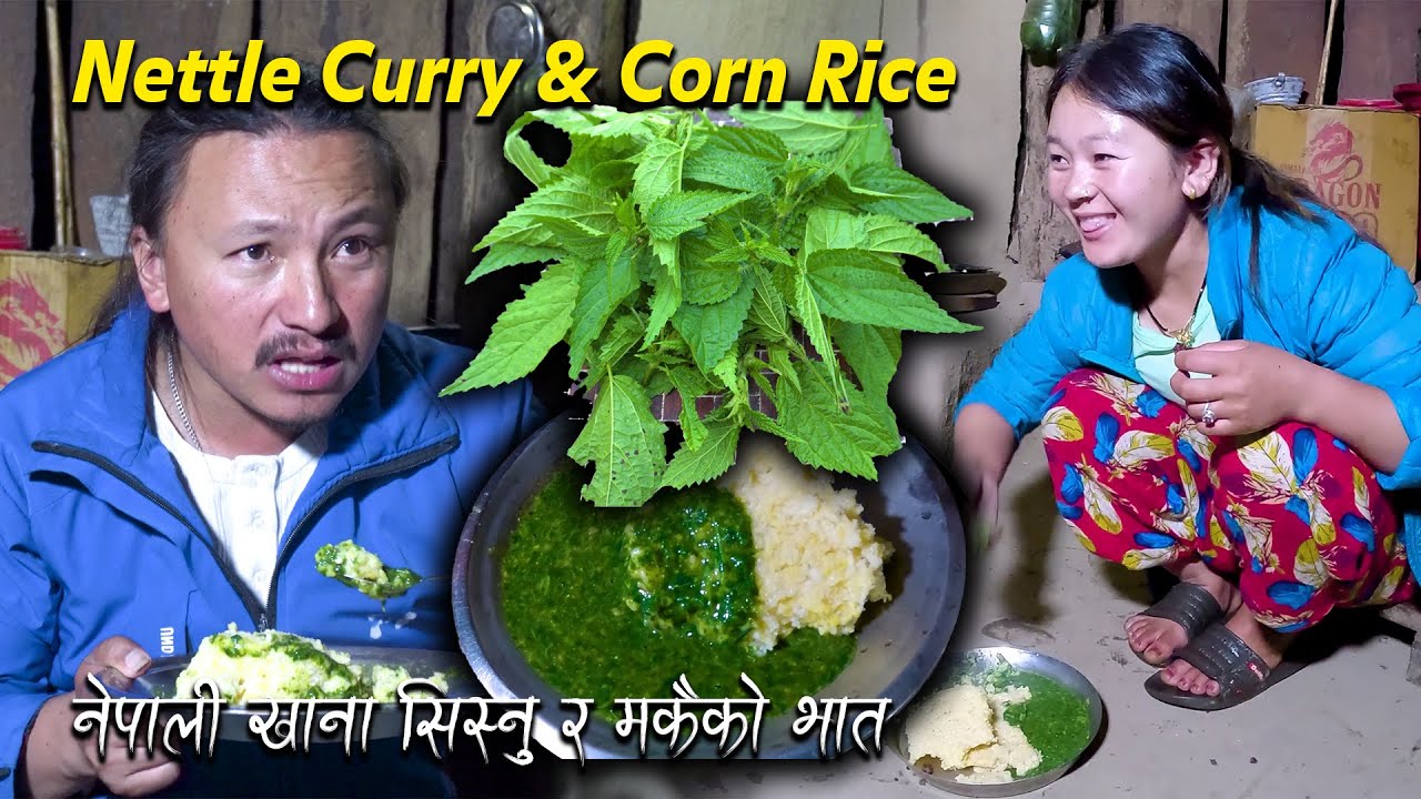 Nepali tasty food Nettle curry with Corn Rice (Sisnu & Thepla) cooking ...