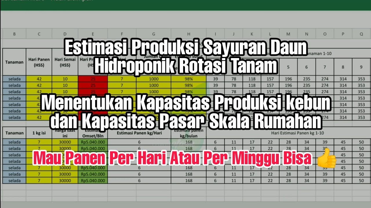 Analisa Kapasitas Kebun Dengan Rotasi Tanam Hidroponik Sayuran Daun ...