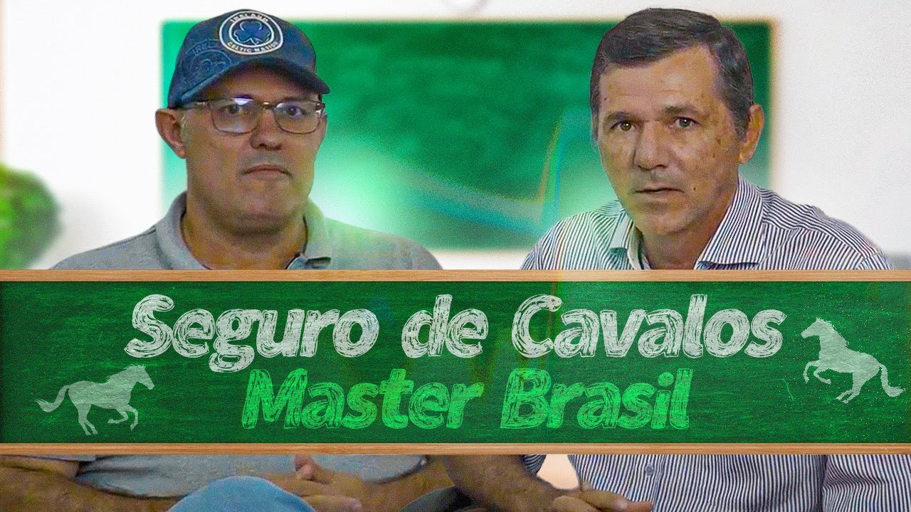 TUDO SOBRE SEGUROS DE CAVALO (com MASTER BRASIL)! - YouTube