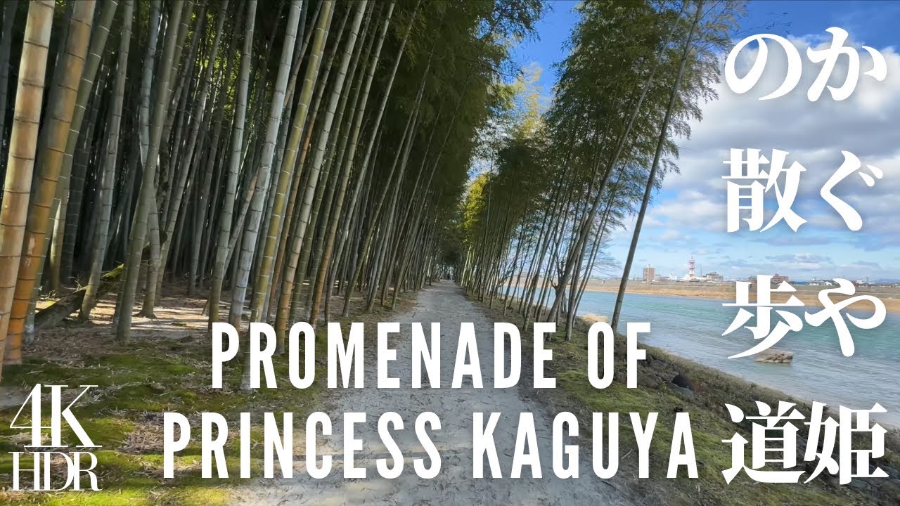 4K Virtual Walk Promenade of Princess Kaguya, in Kani, Gifu, Japan ...