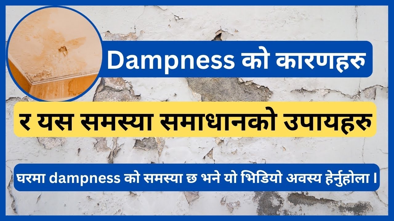 Dampness को कारण र यस समस्या समाधानको उपाय || ExpertSewa - YouTube