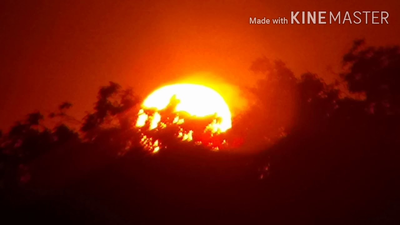 6/15/20 Sunset filtered and criminal distractions (18+) - YouTube