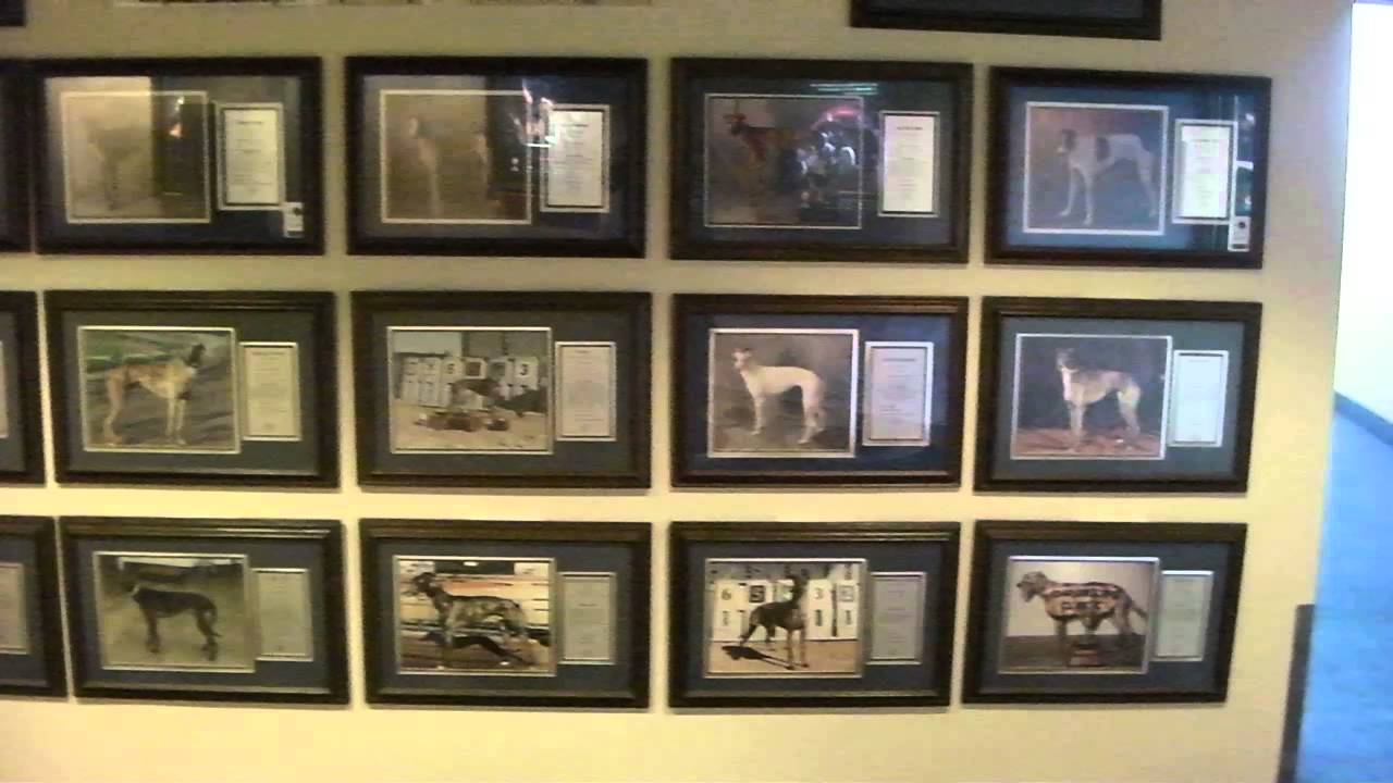 Bluffs Run Greyhound Park Hall of Fame - YouTube