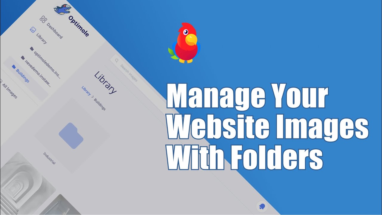 How to Manage Your Website Images Using Folders in Optimole - YouTube