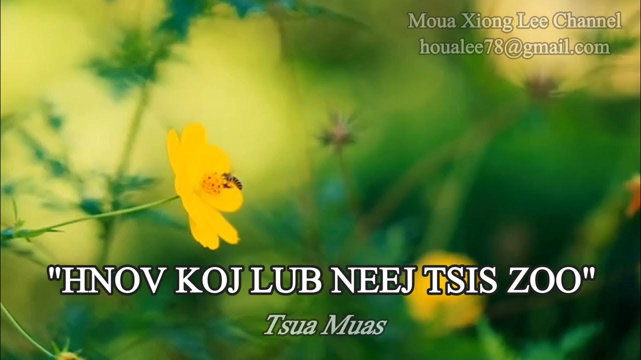Hnov Koj Lub Neej Tsis Zoo - Tsua Muas | Moua Xiong Lee's Hmong Music Collection 🎶 - YouTube