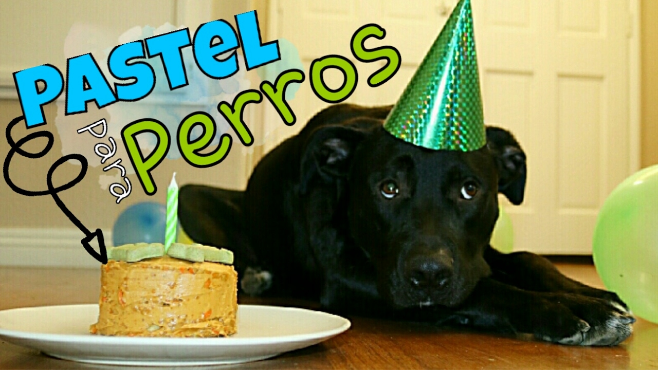 PASTEL PARA PERROS | Cumpleaños Max | SUSANA ORTIZ - YouTube