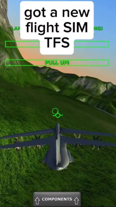 Got a new flight SIM (TFS) - YouTube